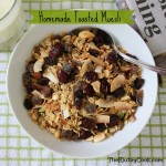 Homemade Toasted Muesli - The Klutzy Cook